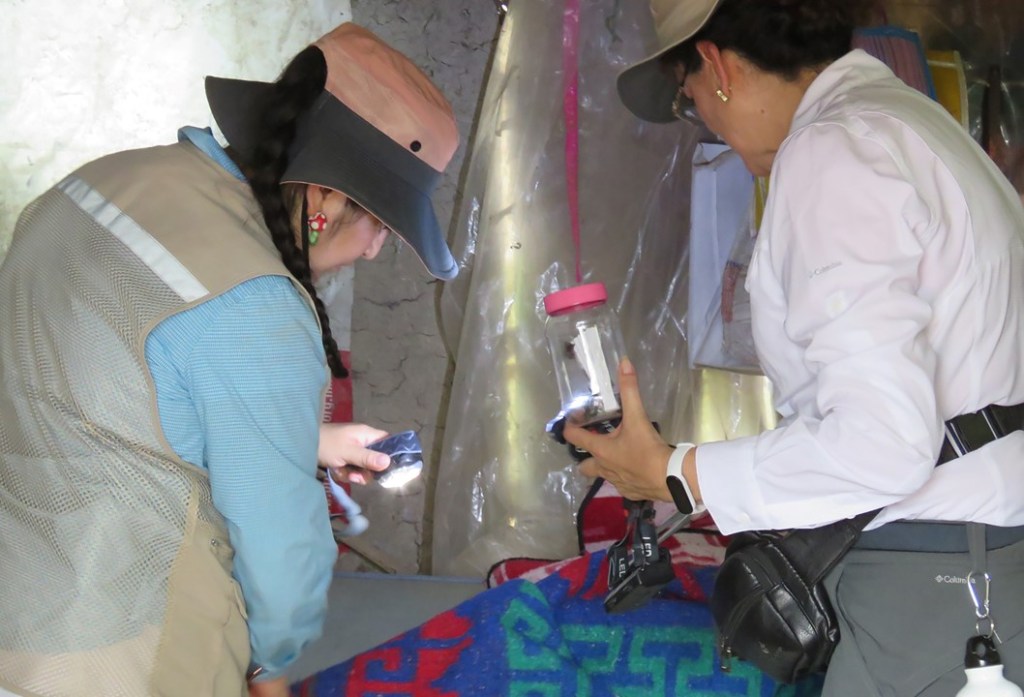 La Enfermedad de Chagas, es curable si el tratamiento se administra en ...