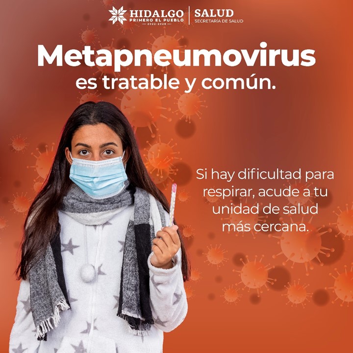 El #metapneumovirus es una enfermedad común y tratable ...