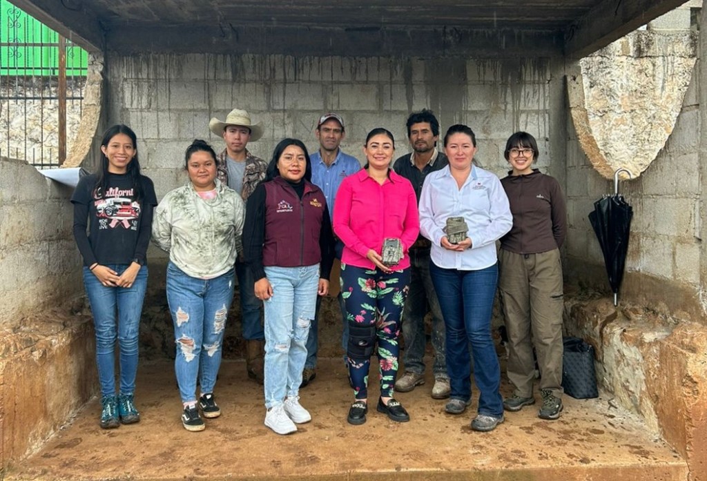 Semarnath lleva a cabo acciones para la conservación de fauna silvestre ...